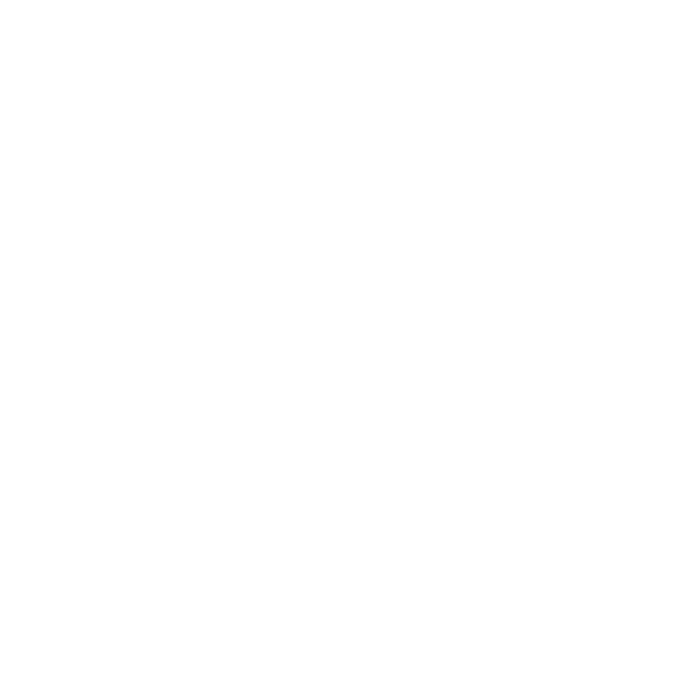 Understanding Transitional Housing Programs: Emma House